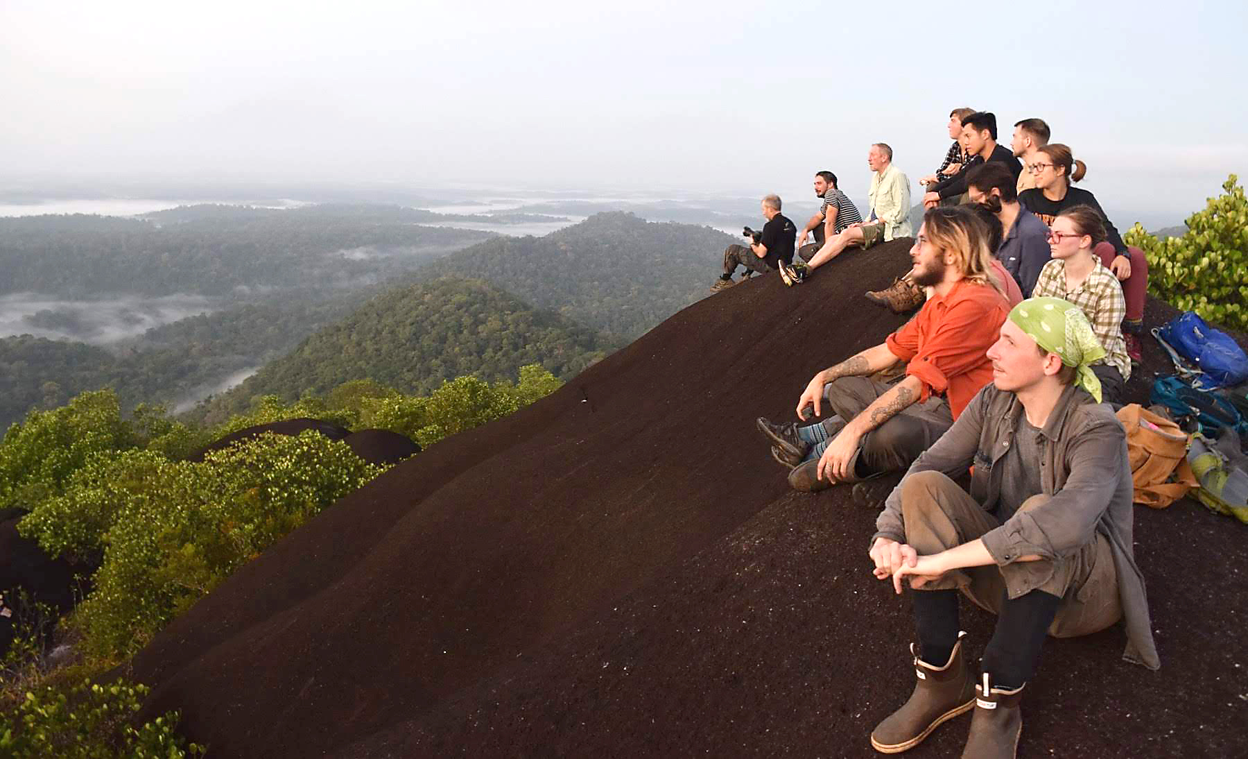 Ant Course 2018 – Myrmecological News Blog