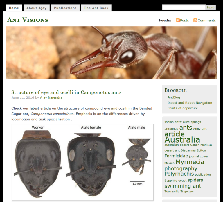 An incomplete guide to ant blogs – Myrmecological News Blog