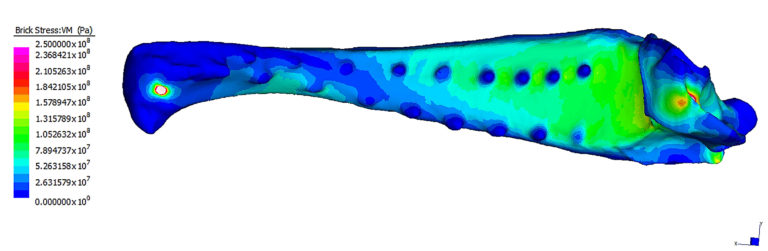 The snap-jaw mechanism in the Dracula ant, Mystrium camillae ...