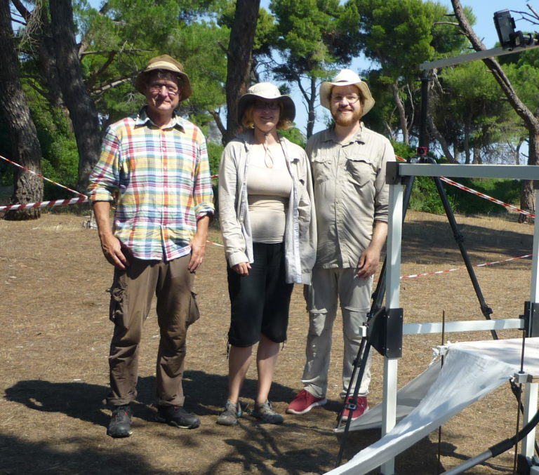 Best Paper Award 2019 – Myrmecological News Blog