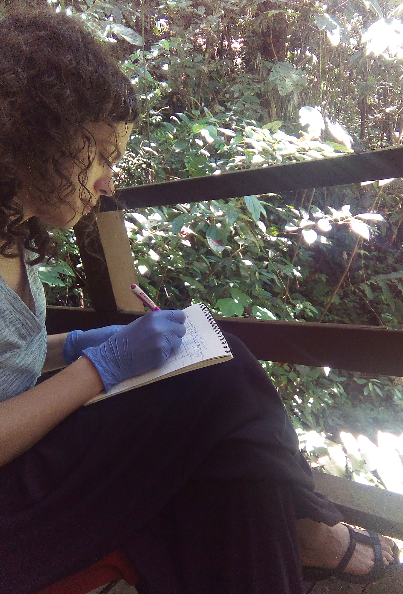 Defensive, antimicrobial, and insecticidal gland secretion in the ...