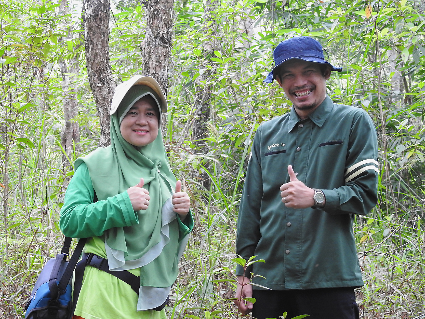 Ant species of Sumatra Island, Indonesia – Myrmecological News Blog