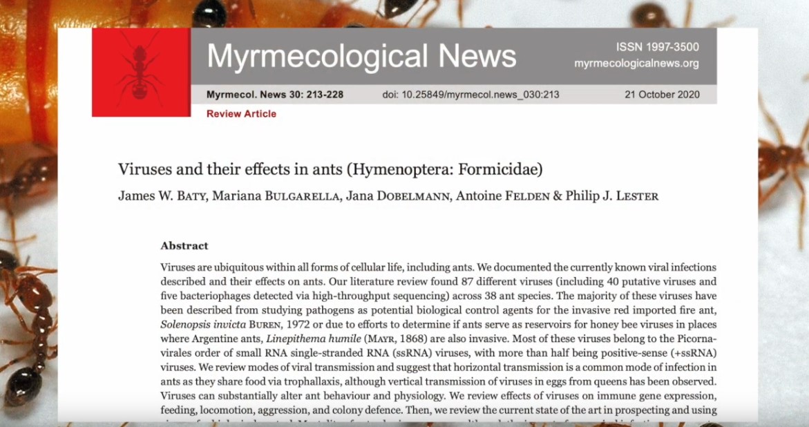 Viruses and their effects in ants – Myrmecological News Blog