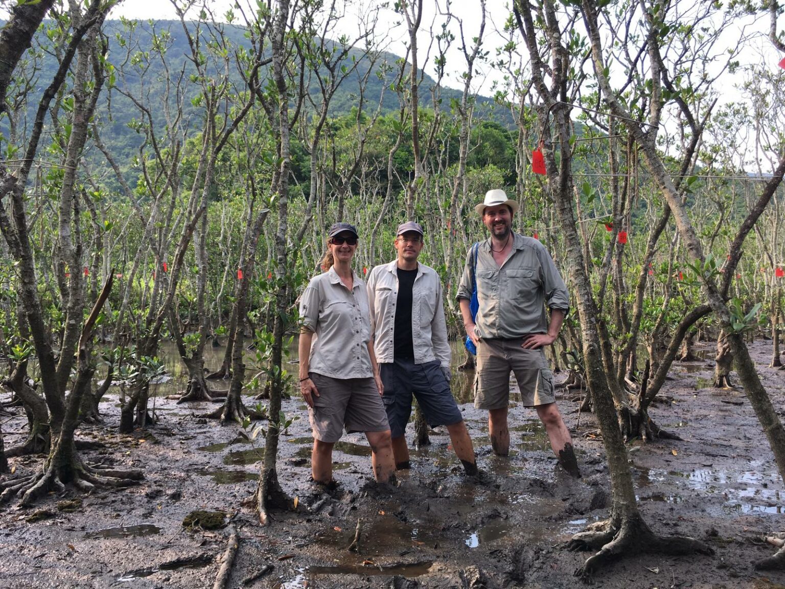 Swimming styles and abilities in arboreal ants – Myrmecological News Blog