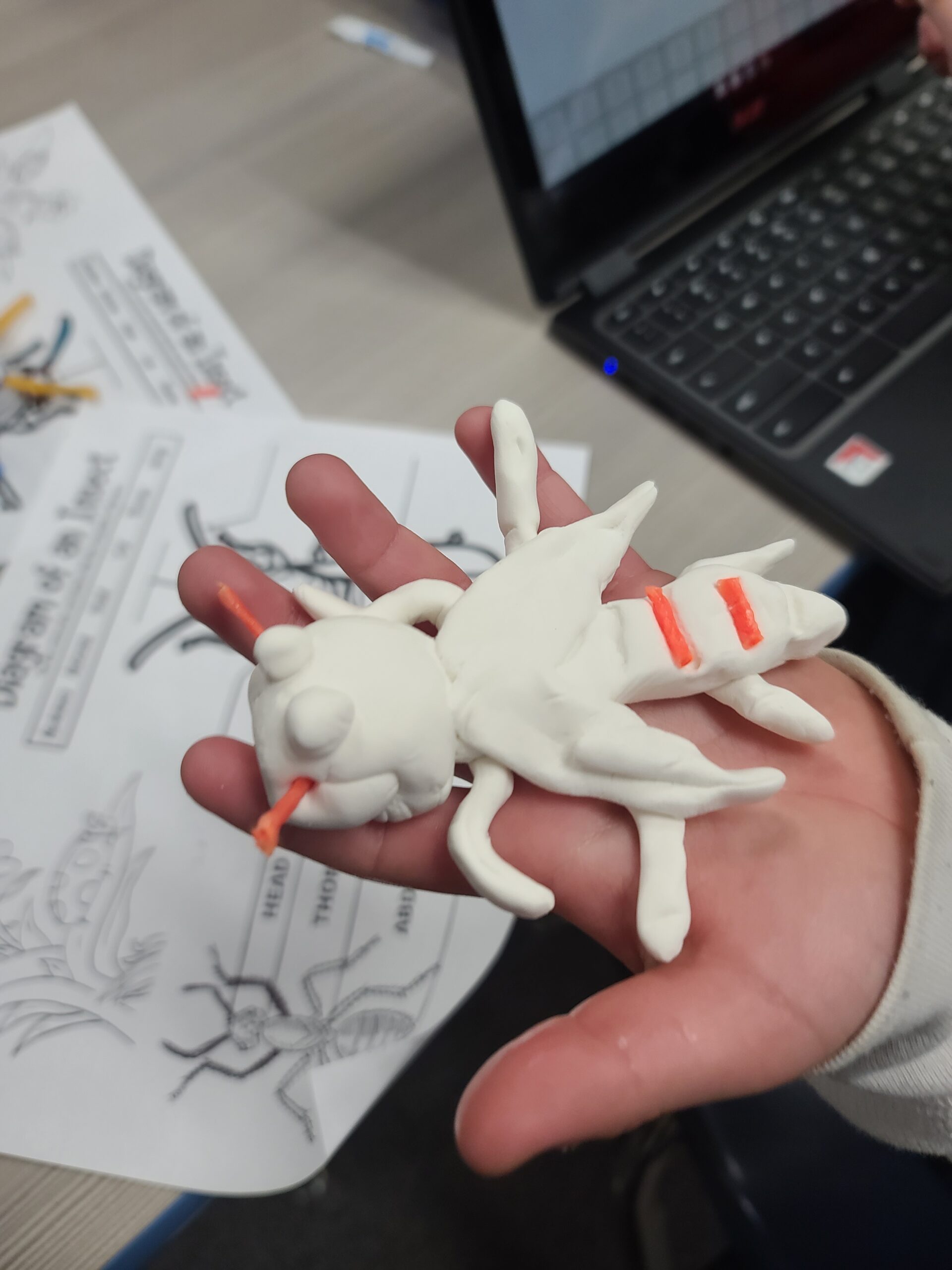 Book review “How to build an insect” – Myrmecological News Blog