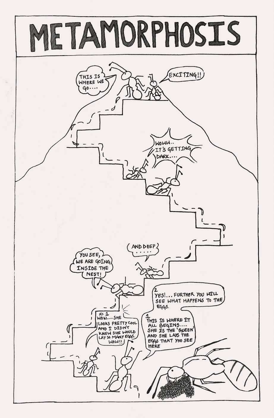 Let’s get to know ‘Metamorphosis’ – Myrmecological News Blog