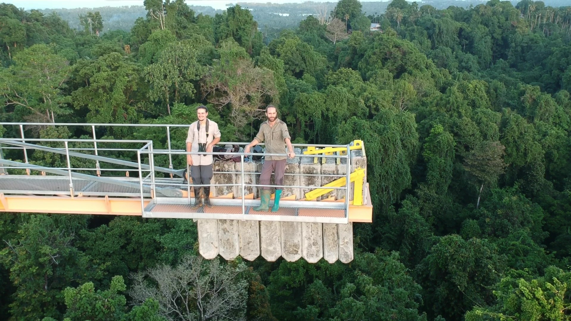 The astonishing ant diversity of Papua New Guinea – Myrmecological News ...